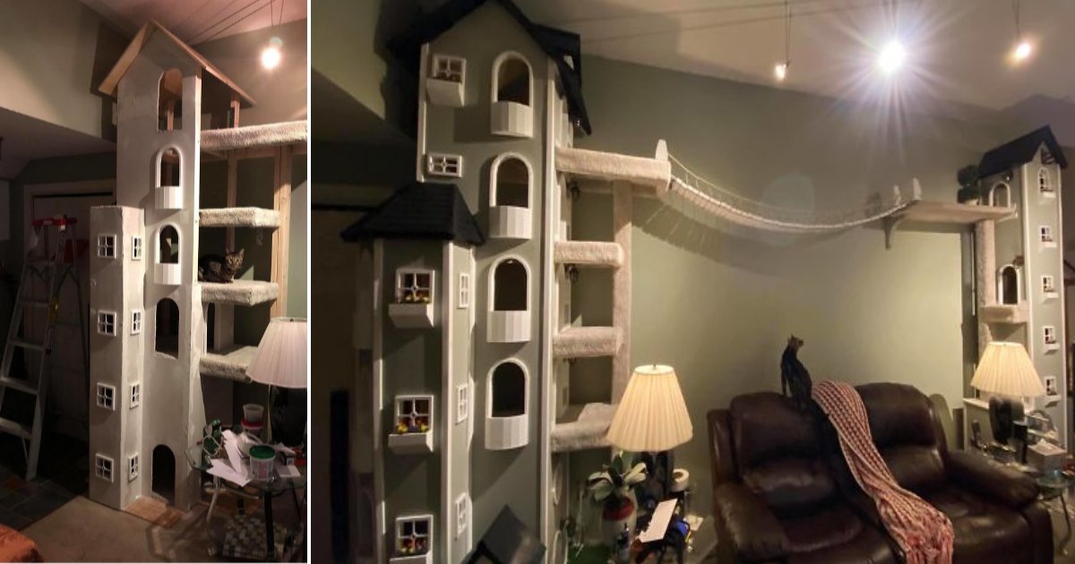 A Man Built Epic Kitty Towers With Decks Balconies And Roof For His