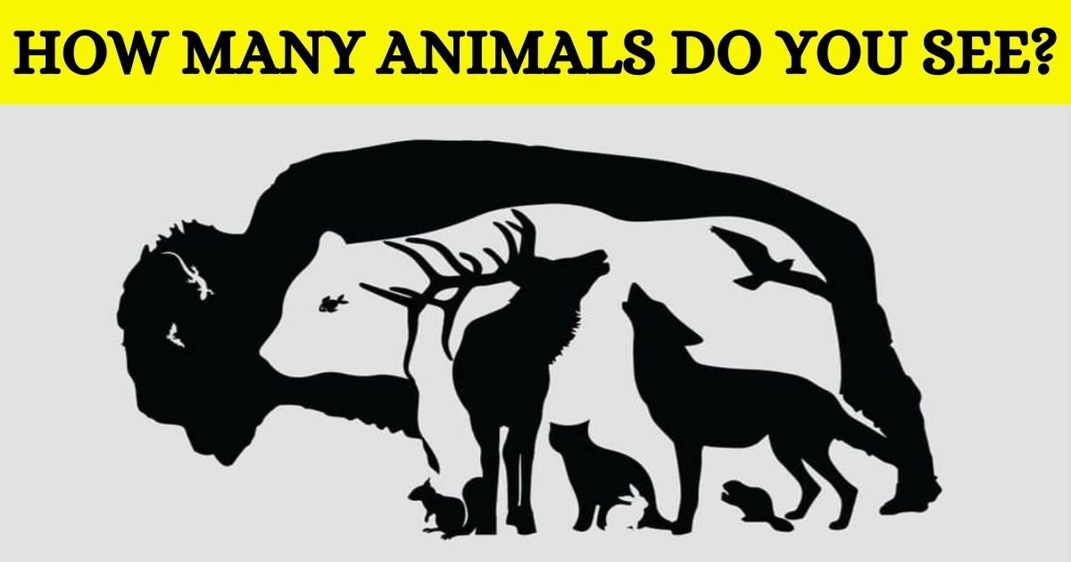 How Many Animals Can You Spot In This Picture 9 In 10 People Can t